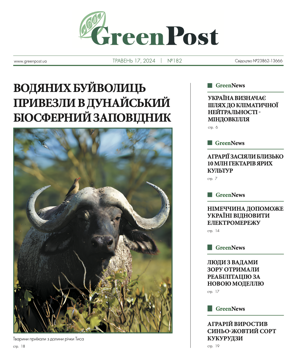 Квашена капуста за три дні: простий рецепт | GreenPost