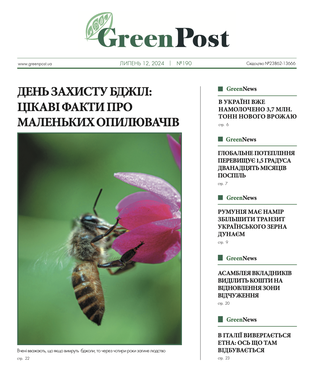 День гарбуза Рецепти з гарбуза Як приготувати | GreenPost
