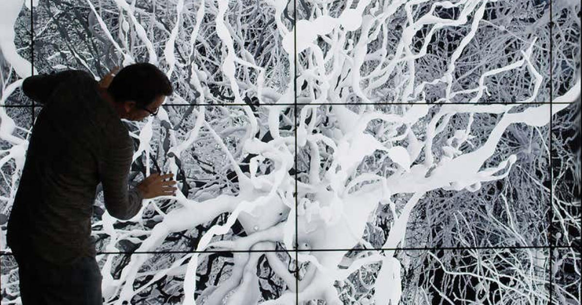 Під час менструального циклу в мозку відбуваються структурні зміни ...