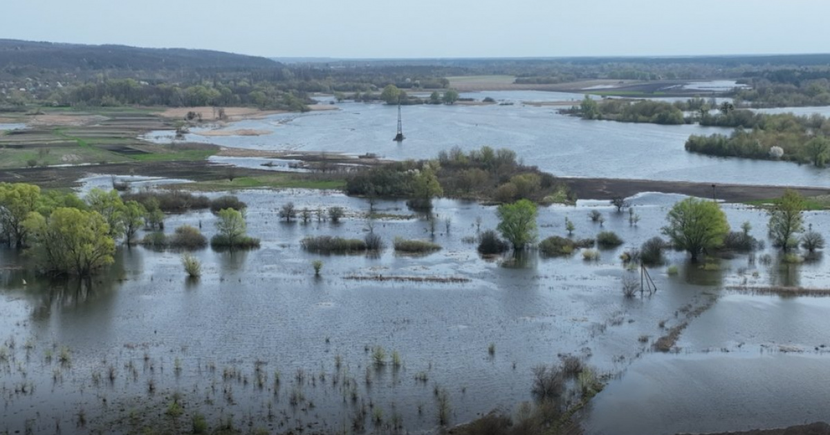 Водяна пастка: на Черкащині затоплено близько 45 гектарів засіяних площ (ФОТО) | GreenPost