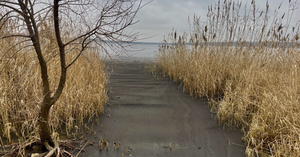 ДЕІ дослідила забруднення Бузького лиману | GreenPost