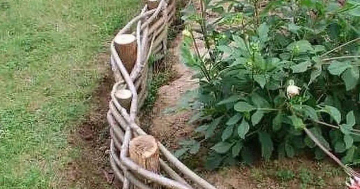 Конструкції з лози Ідеї Ландшафтний дизайн Фото | GreenPost